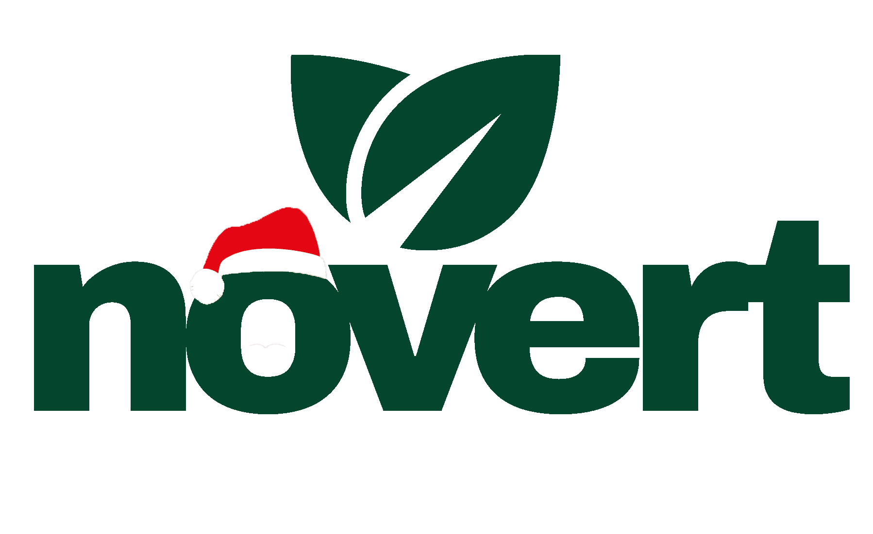 Installation de lumières de Noël - Novert